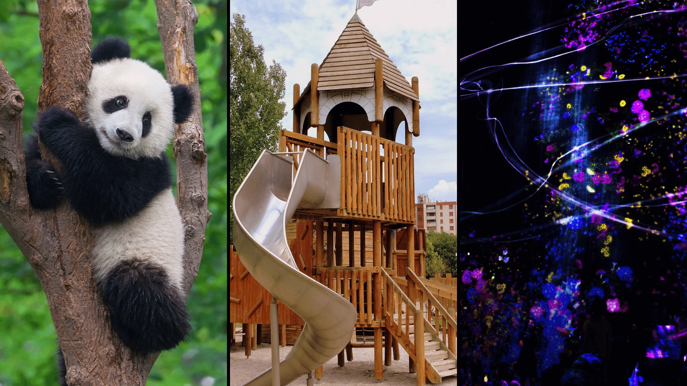 Dit zijn de 4 leukste dierentuinen in Limburg