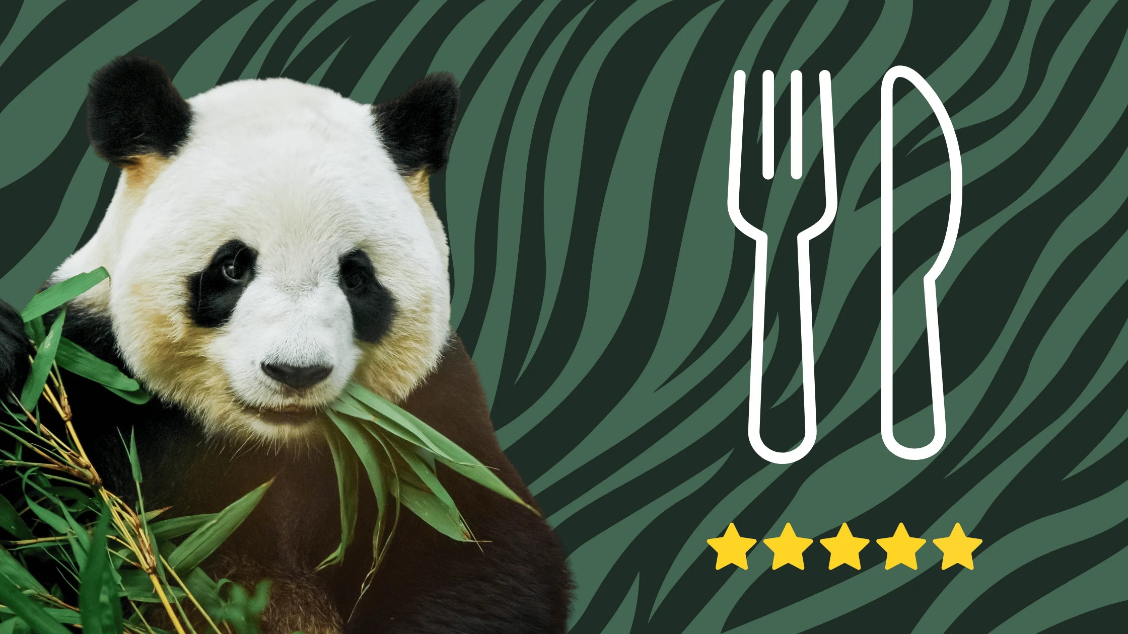 Dit maakt Ouwehands Dierenpark echt bijzonder