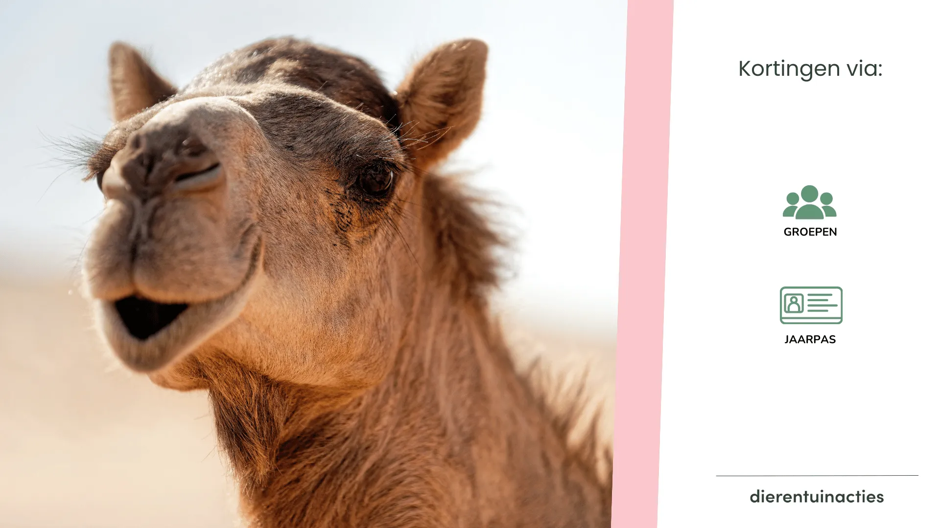 Familiepark Harry Malter Korting - Bespaar tot 50% op tickets