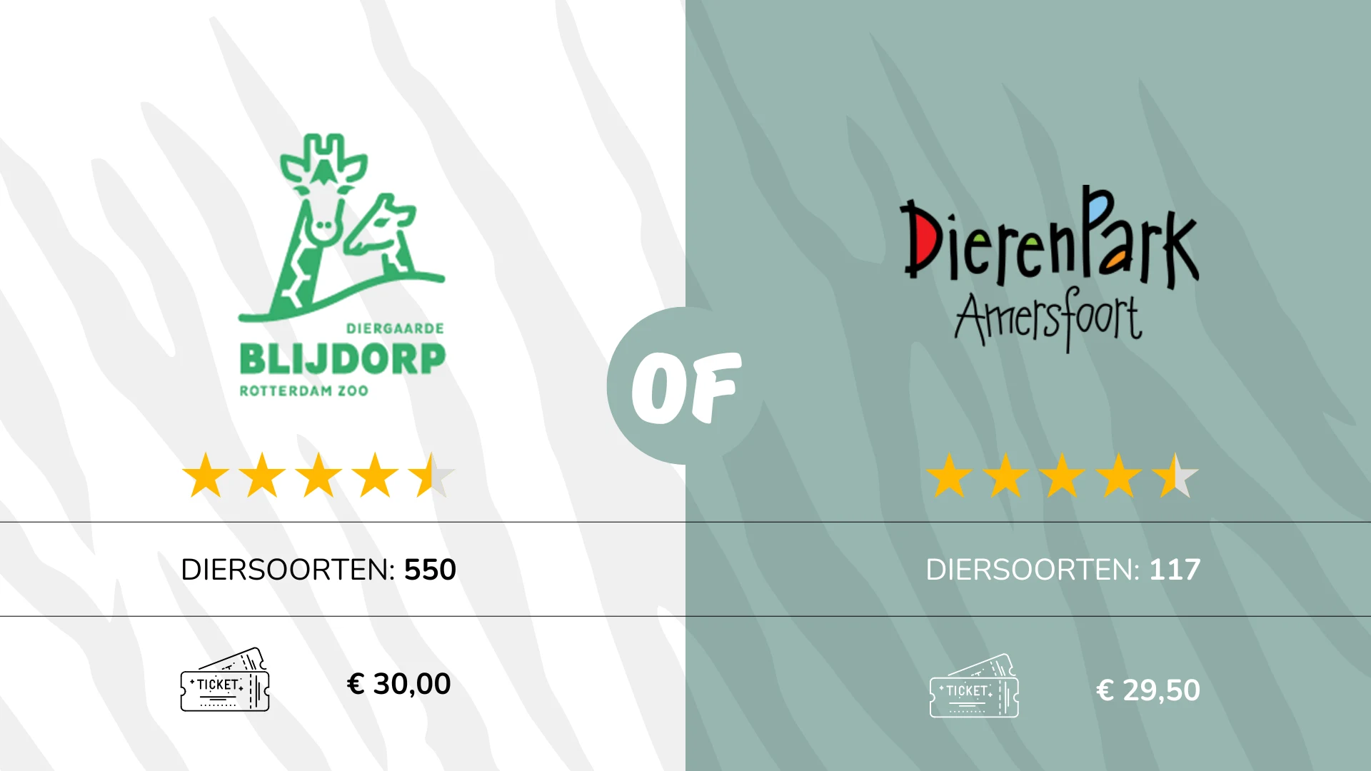 Diergaarde Blijdorp of DierenPark Amersfoort? De verschillen