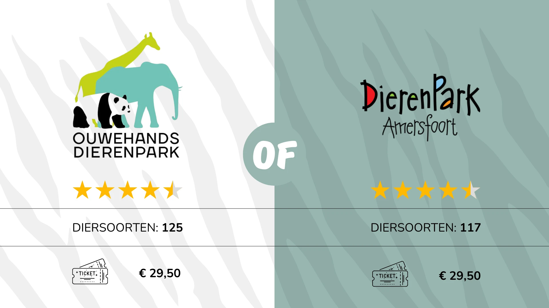 Dit zijn de 4 leukste dierentuinen in Limburg