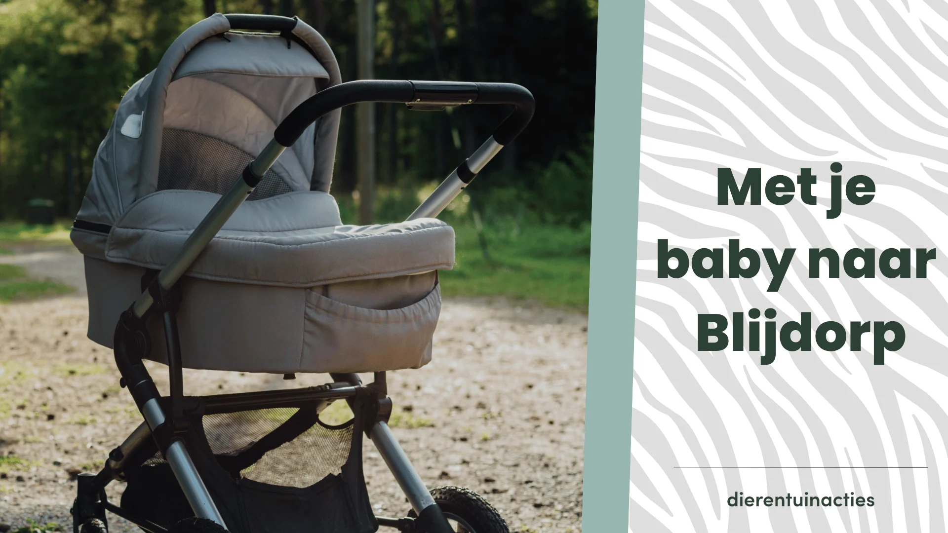 Blijdorp van A tot Z: de complete gezinsgids